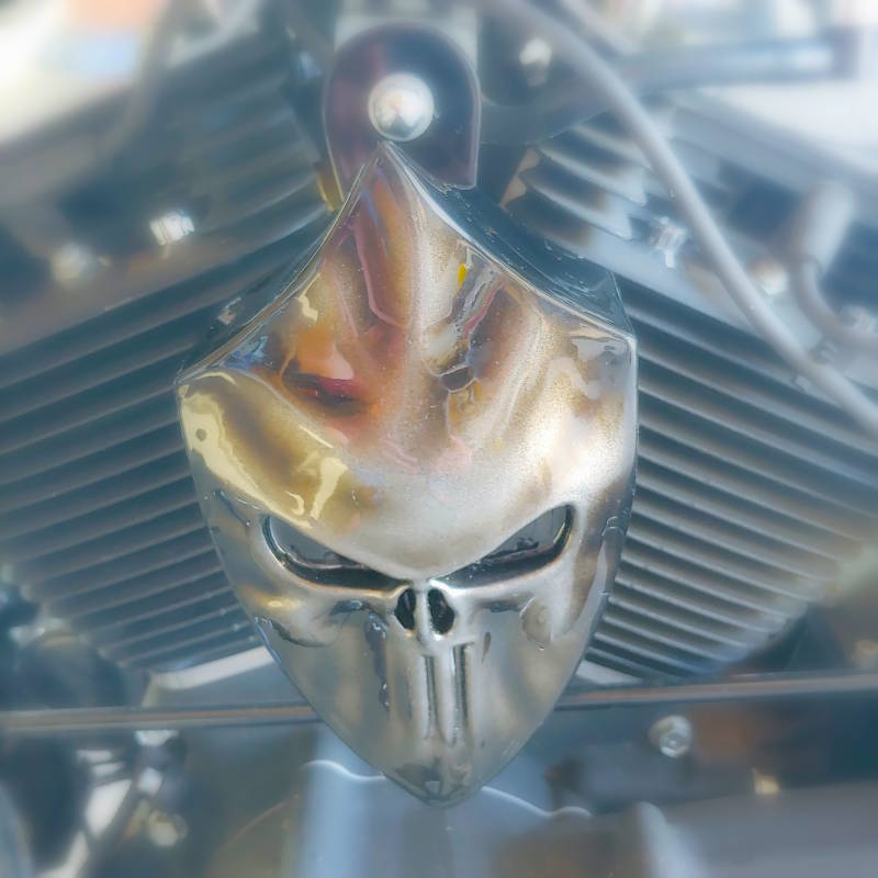 Screaming Banshee PUNISHER Horn Cover – Screaming Banshee Horns